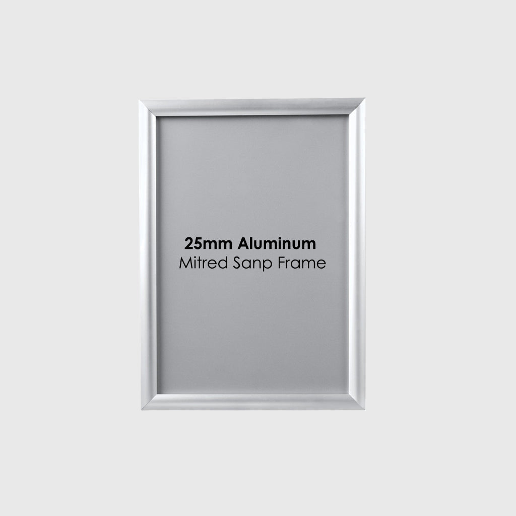Aluminum 25 Snap Frame: Enhance Your Display Experience – Backdropsource New Zealand