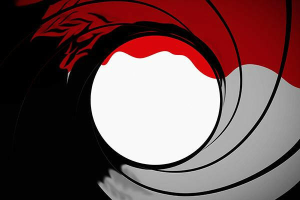 Fabric Print James Bond 007 Gun Barrel Target Backdrop – Backdropsource NZ